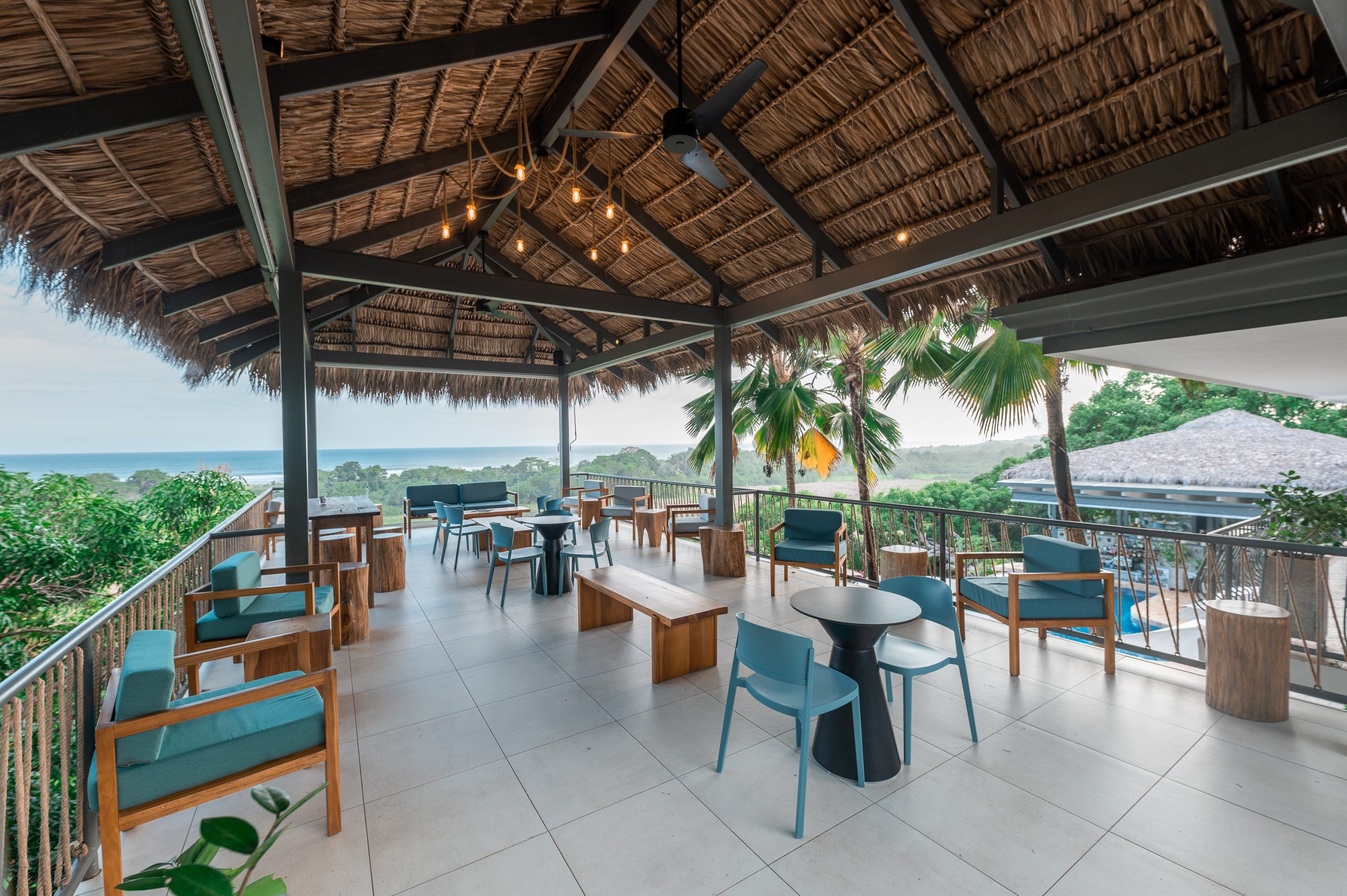 Mango Monkey Bar - Two Parrots Restaurant